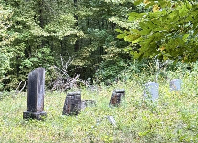 Talladega National Forest is full of water | | annistonstar.com