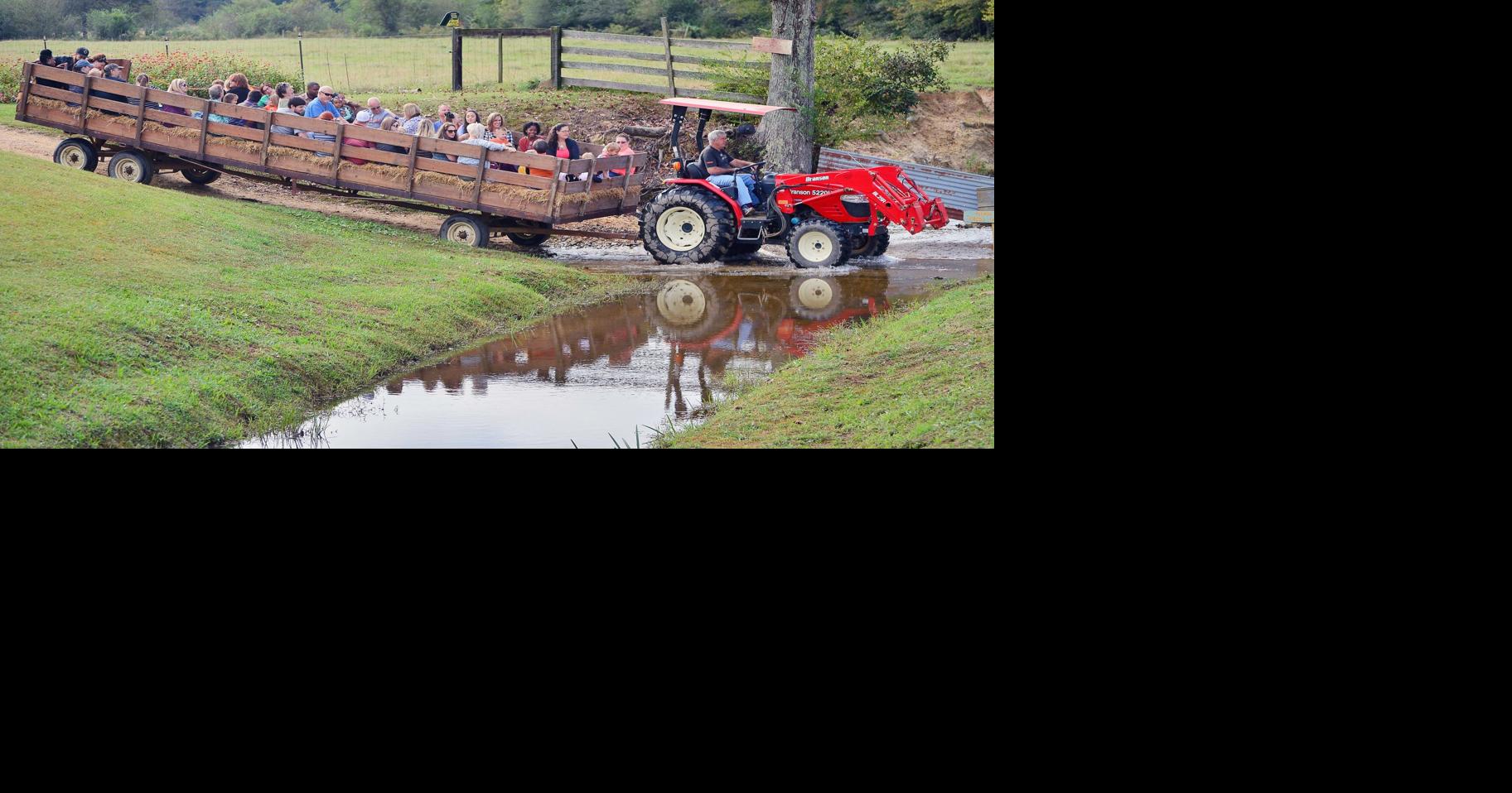 Heflin’s fall attraction Bennett Farms still bringing in visitors ...