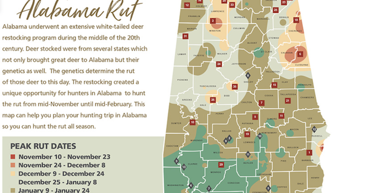 Hunting deer during the rut and pre-rut in Alabama | News ...