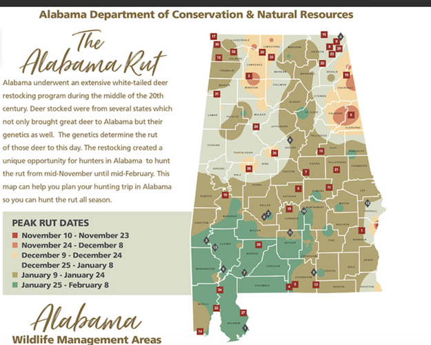 Hunting deer during the rut and pre-rut in Alabama | News ...