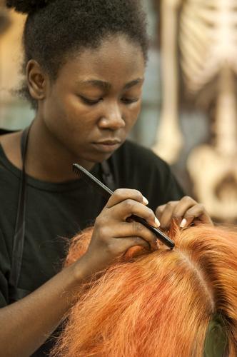 Hair of Horror competition (photo gallery) | The Daily Home ...
