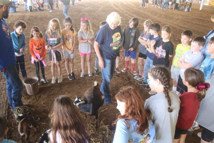 Farm Living - Third-graders learn where meat and milk come from in St ...