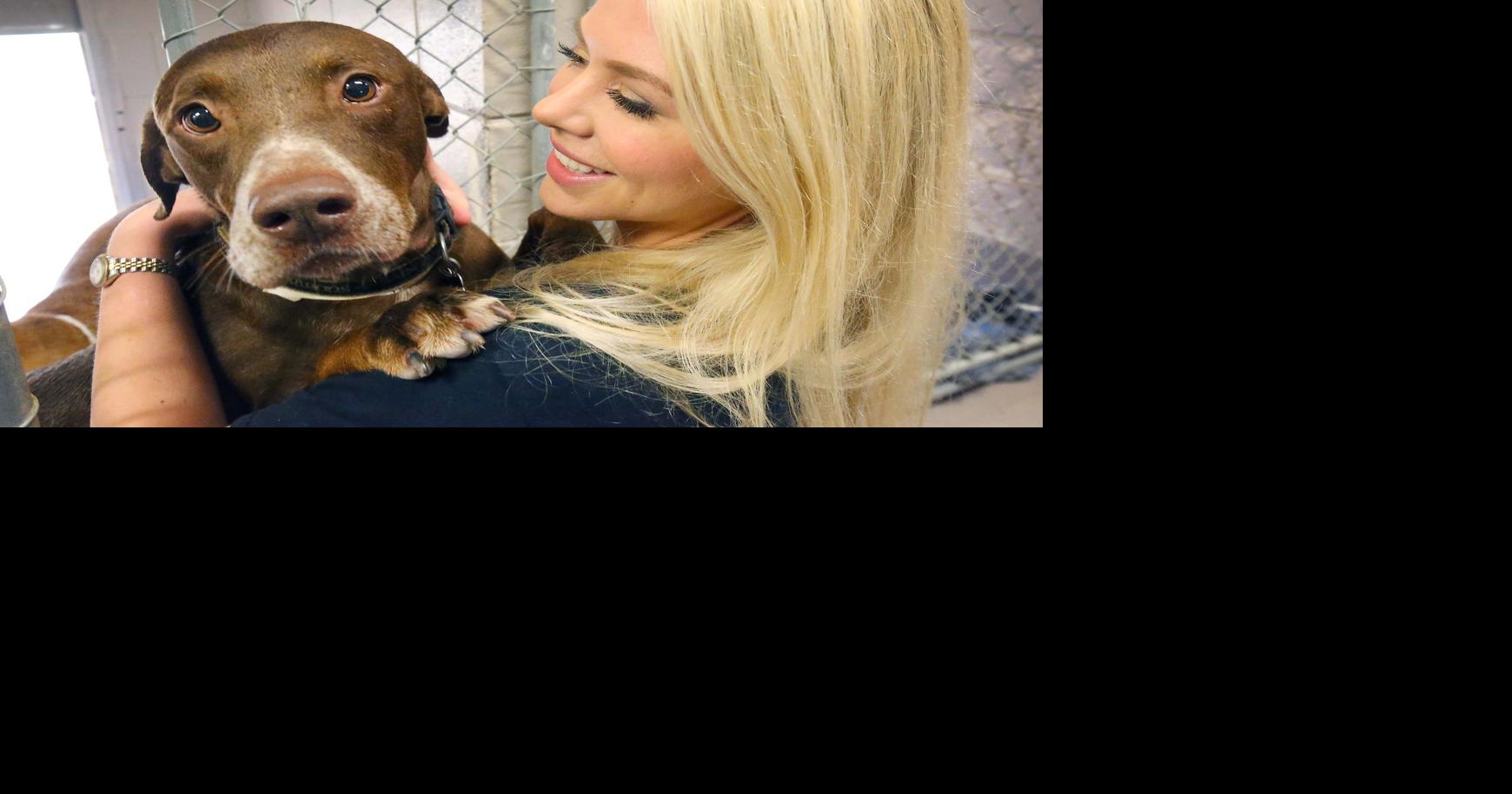 Anniston animal group sheltering dogs evacuated from areas hit by ...