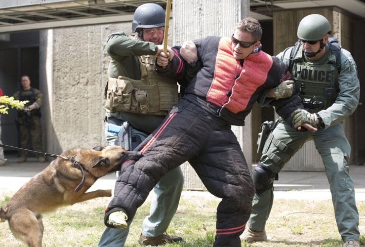 Law Enforcement SWAT Training on McClellan | News | annistonstar.com