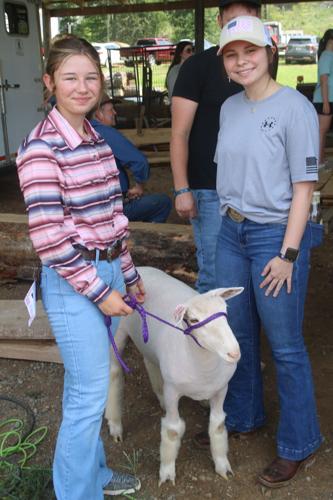 Lamb care focus of youngsters’ show | News | annistonstar.com
