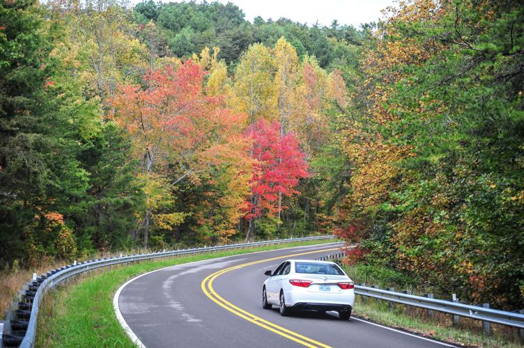 Talladega Scenic Drive voted number one best fall foliage | Local News ...