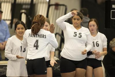 Prep volleyball: Ohatchee, Donoho, PV punch tickets to state | High ...