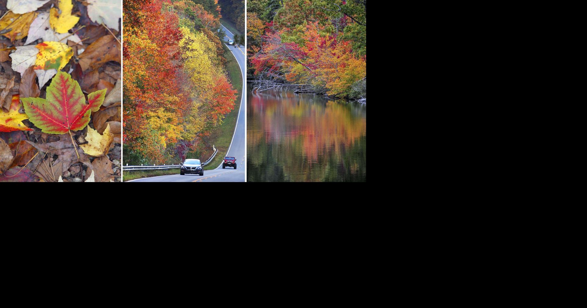 Fall Color Scenes from Anniston Star Photographers | Slideshows ...