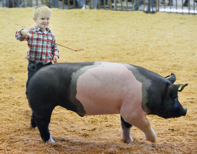 Alabama Swine Expo at the Calhoun County Agri Science Center on ...