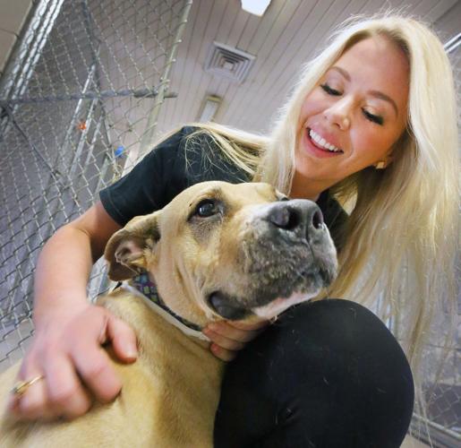 Anniston animal group sheltering dogs evacuated from areas hit by ...