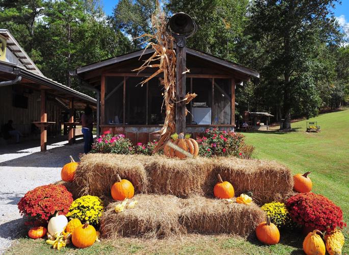 Heflin’s Bennett Farms entertains hundreds of kids | Cleburne County ...