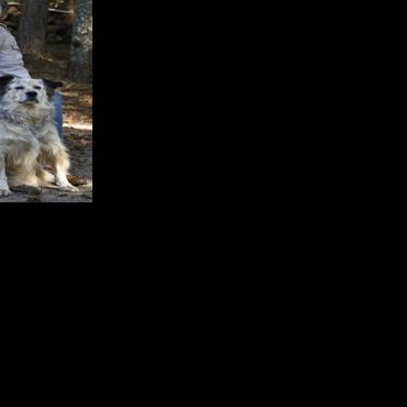 Author Rick Bragg on his new book, his new dog and quarantining in ...