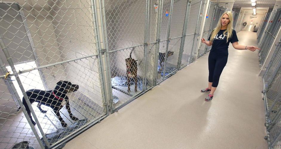 Anniston animal group sheltering dogs evacuated from areas hit by ...