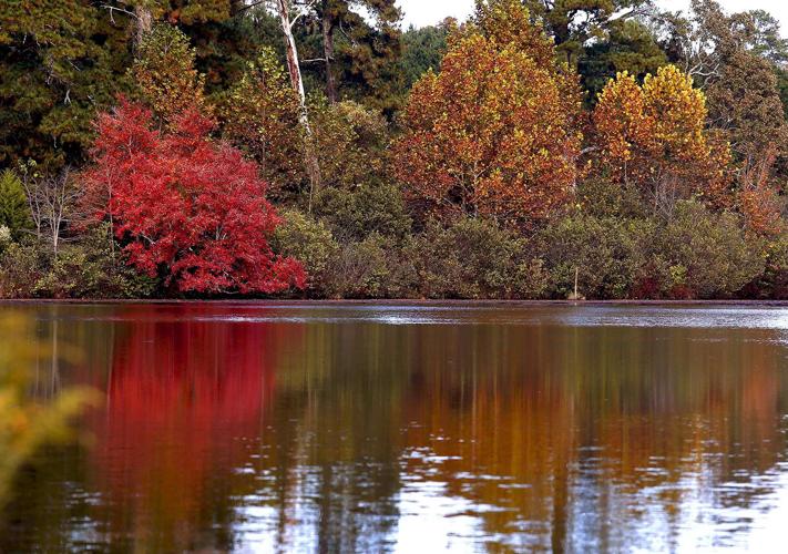 2018 Fall Color | Slideshows | annistonstar.com