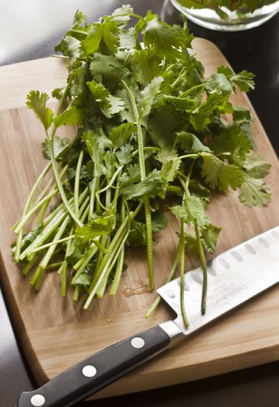 ON GARDENING: Cilantro a great addition to the winter garden | Features ...