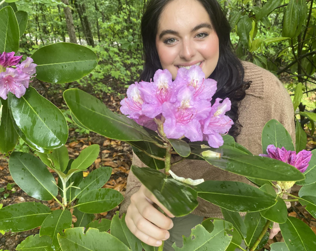 Rhodies and Mountain Laurel | News | annistonstar.com