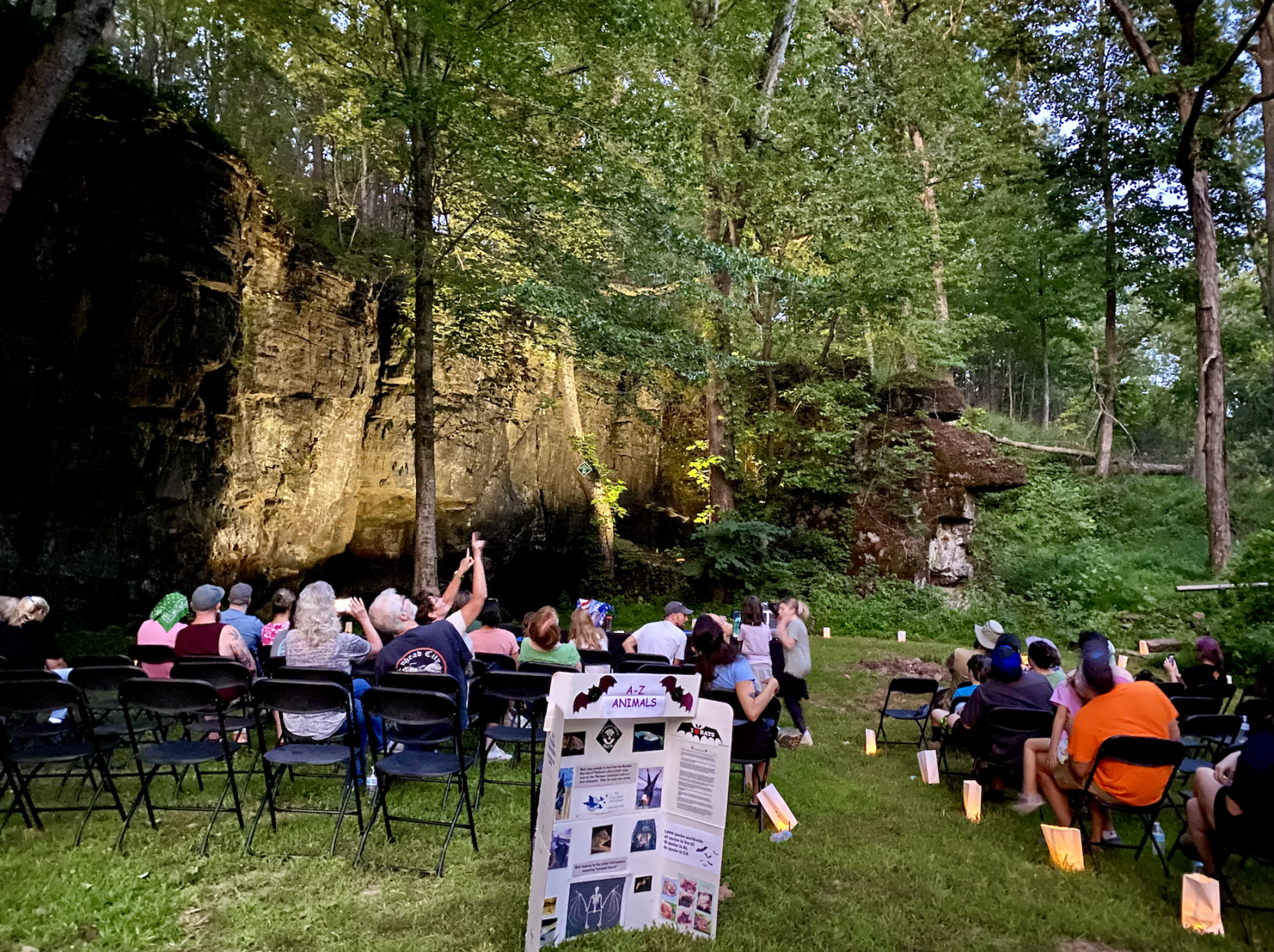 Wing Night celebrates conservation of endangered bat | Weaver ...