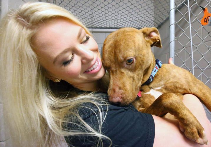 Anniston animal group sheltering dogs evacuated from areas hit by ...