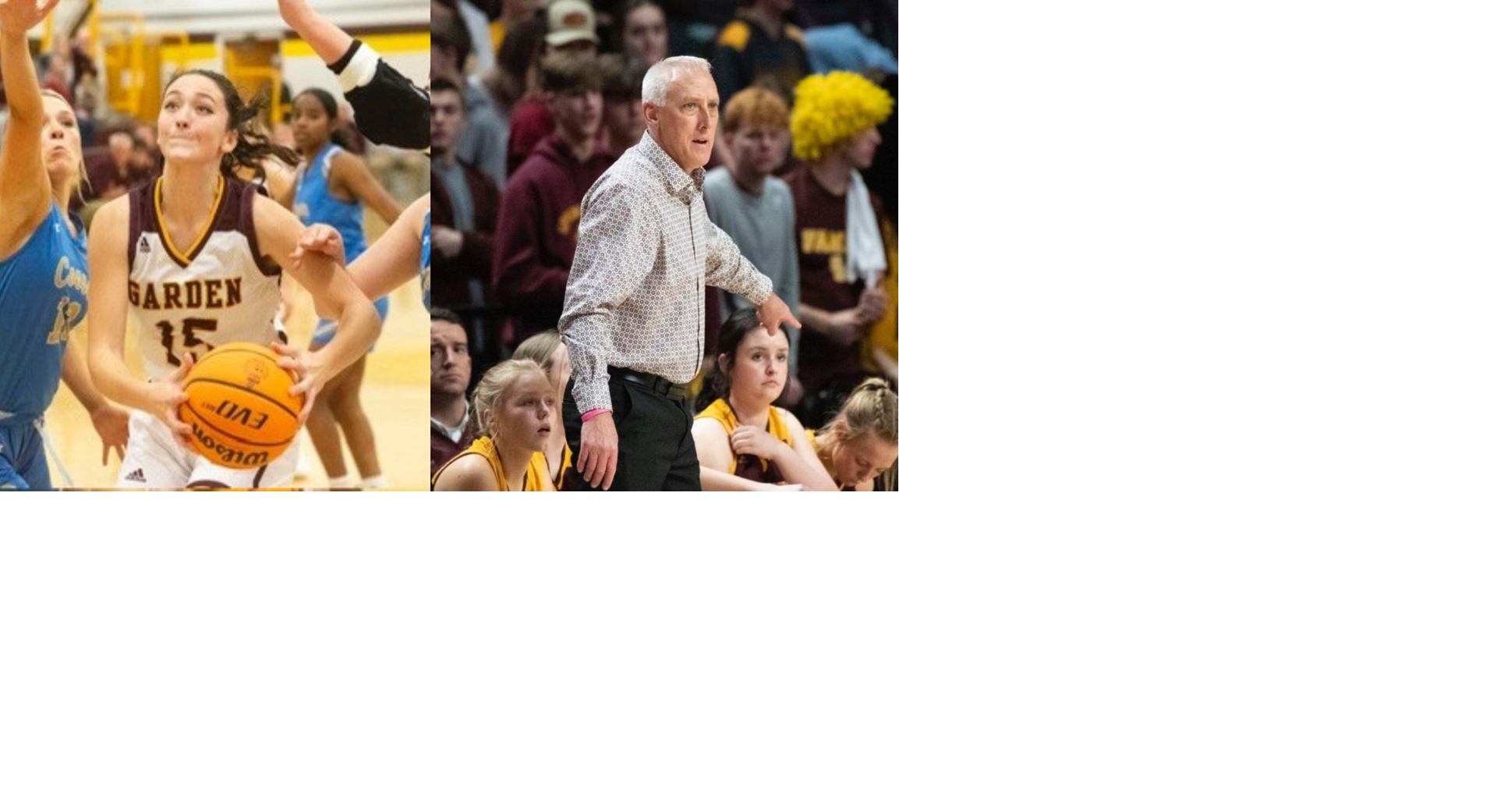 Prep basketball: Spring Garden's Chloe Rule, Ricky Austin recognized by ...