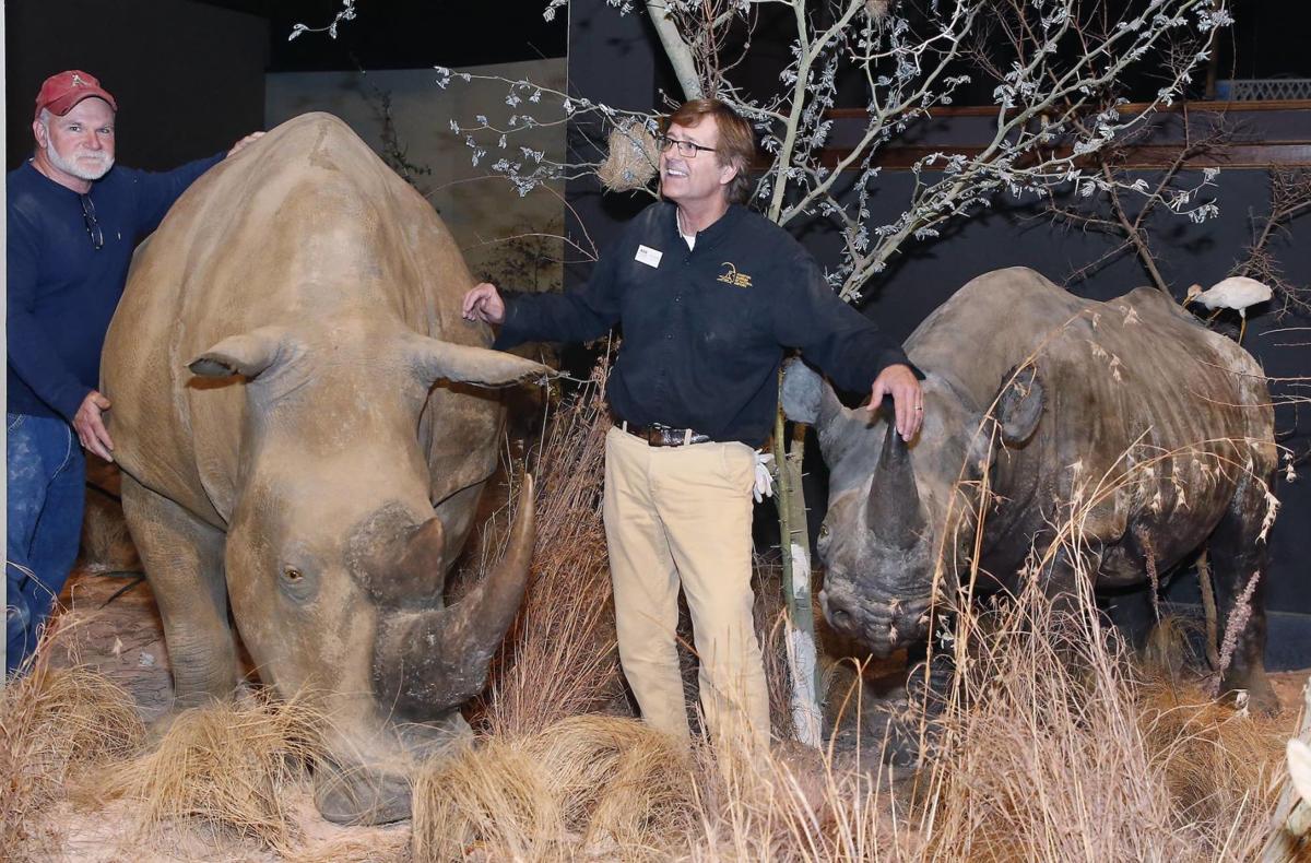 Anniston museum takes in second rhino for Africa exhibit | Anniston ...