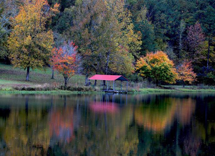 2018 Fall Color | Slideshows | annistonstar.com