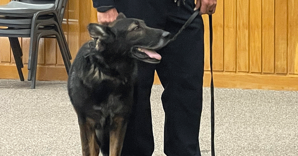 Sylacauga police K-9 ‘Drago’ honored upon retirement | News ...