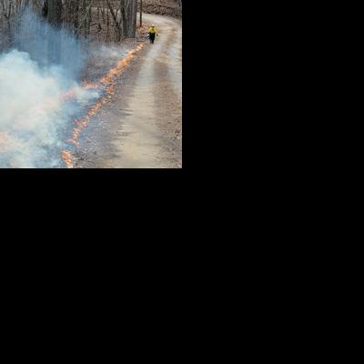 Prescribed burn being carried out in Pilgrim’s Rest region of forest ...