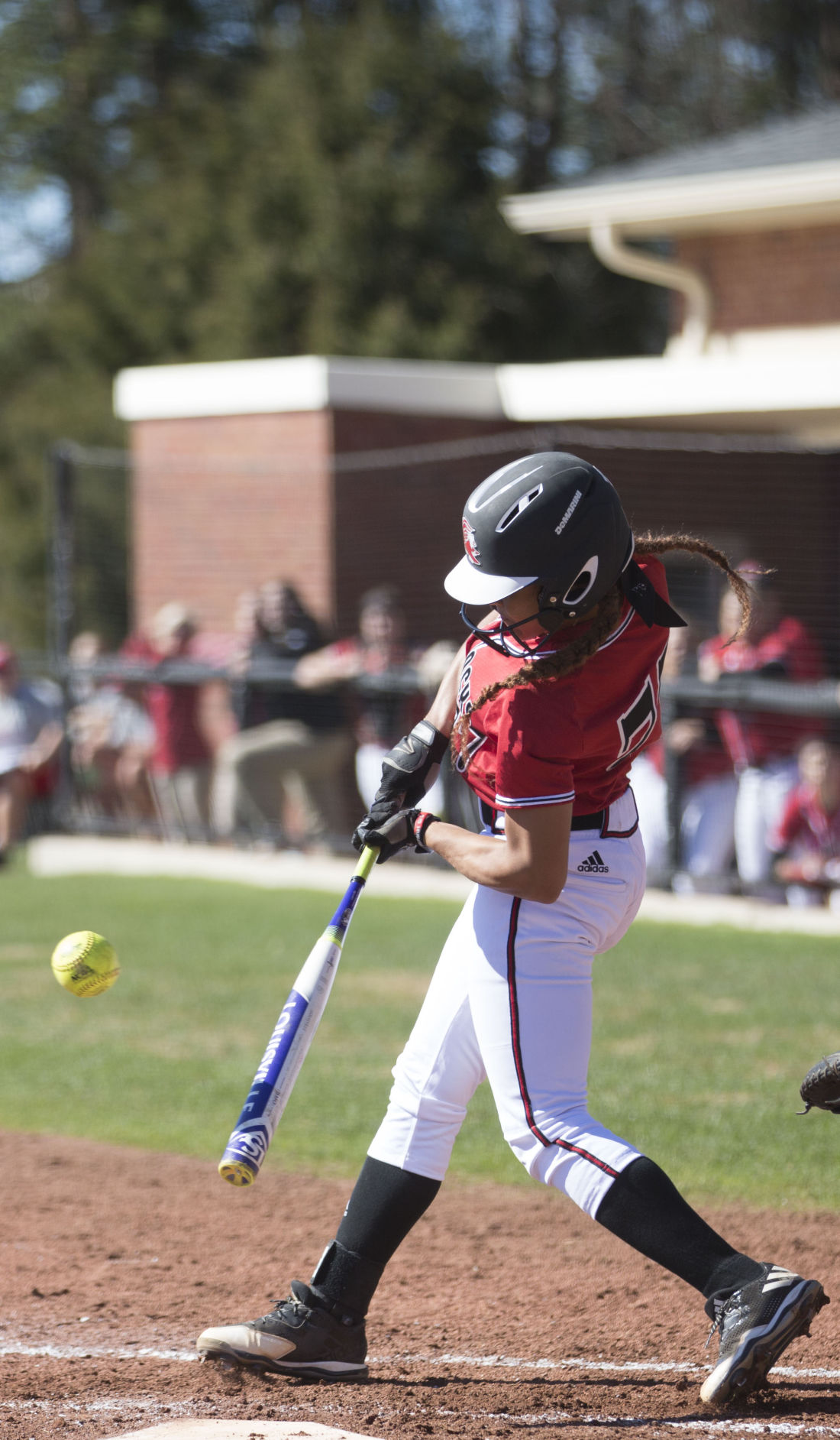 Southern Mississippi Softball at Jacksonville State University ...