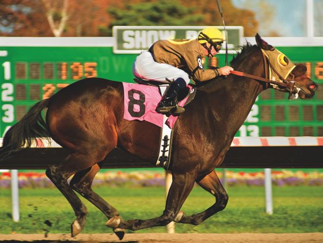 Kentucky Recipes: Best of the Best State Cookbook Series | Food ...