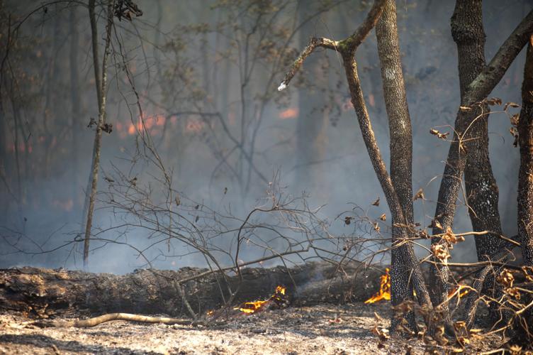 Authorities battling forest fire near Logan Martin Lake Dam | The Daily ...