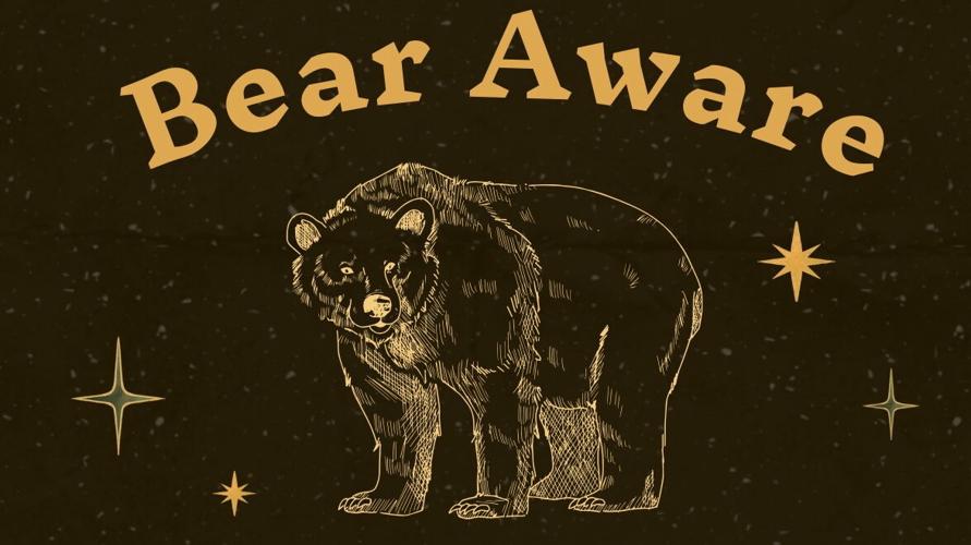 always there bear logo