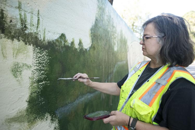 Photos: Childersburg mural artist Jab Schablow Roberts | Slideshows ...