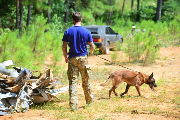 From Afghanistan to Anniston, military dogs get retirement fit for a ...