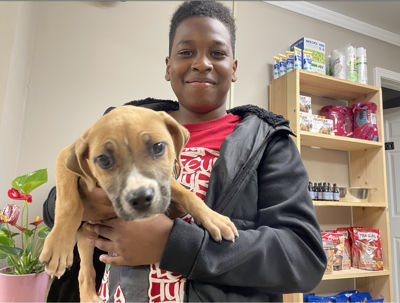 Calhoun County Animal Control sets adoption day for March 25 | Calhoun ...