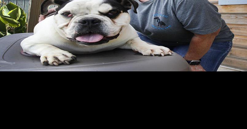 Spotlight on: Angie Persch, dog rescuer | Features | annistonstar.com