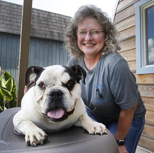 Spotlight on: Angie Persch, dog rescuer | Features | annistonstar.com