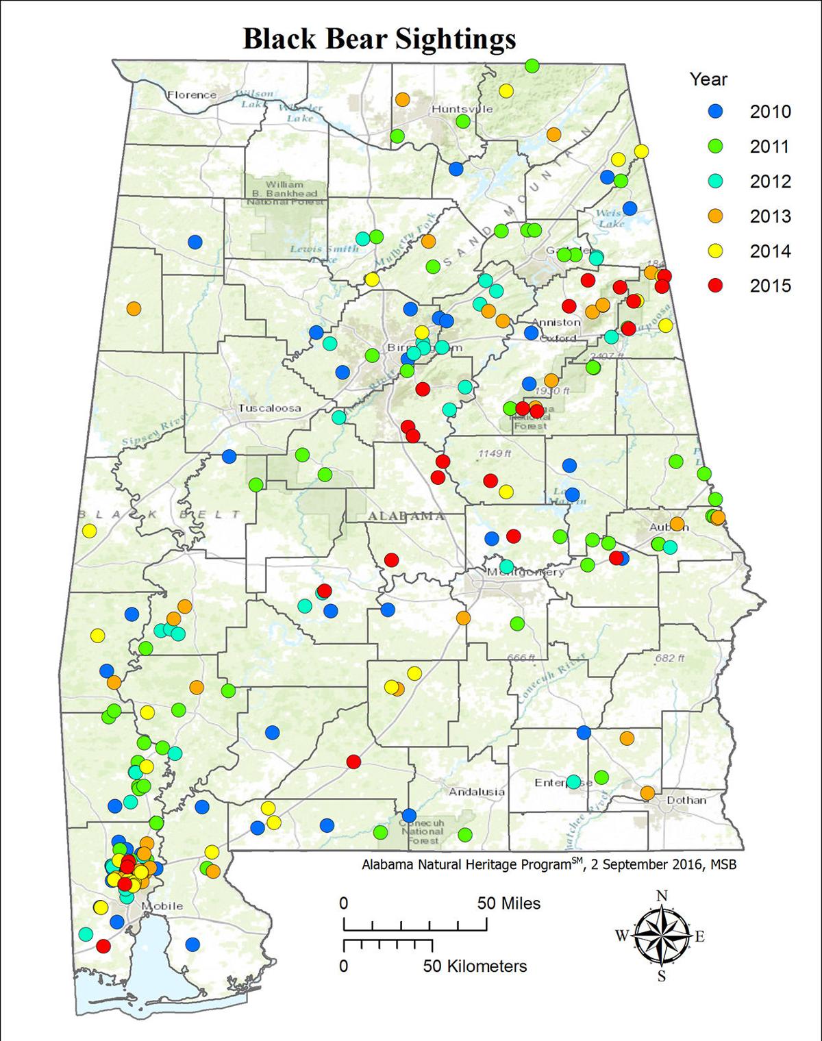 Forest experts, biologists: Black bears are in Alabama to stay | State ...