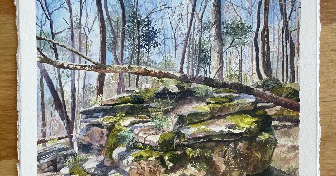 Paint Rock: Drawing knowledge from nature | Artists in Action ...