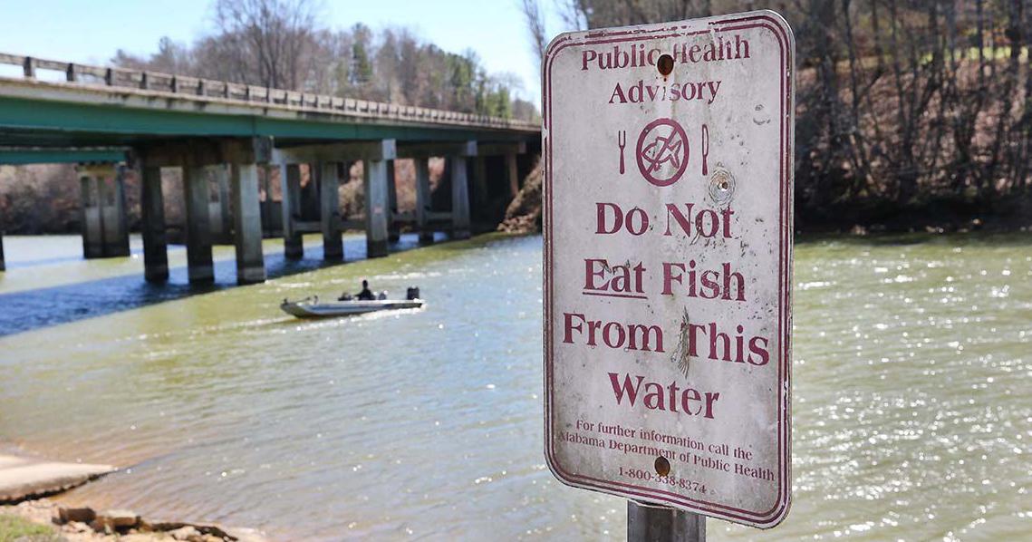 ADPH releases fish consumption advisories | Free | annistonstar.com