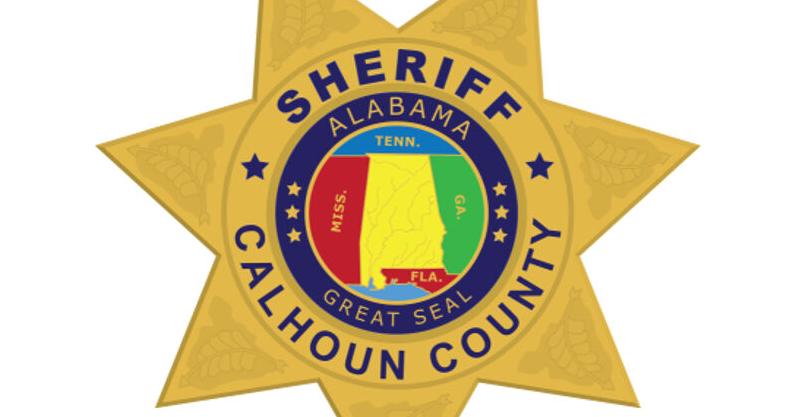 Calhoun County vehicle license increase to help sheriff’s department ...
