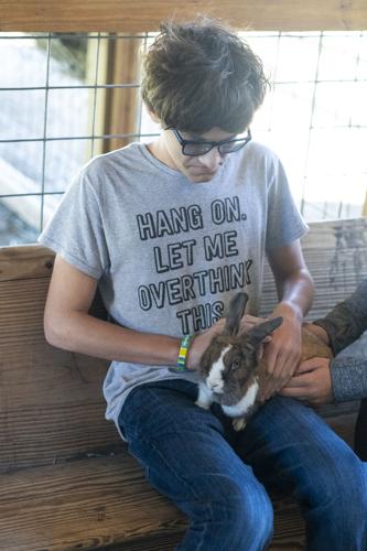 PHOTOS: Heflin-based Bennett Farms offers much more than a pumpkin ...