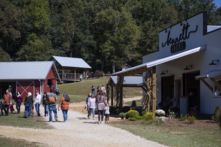 PHOTOS: Heflin-based Bennett Farms offers much more than a pumpkin ...