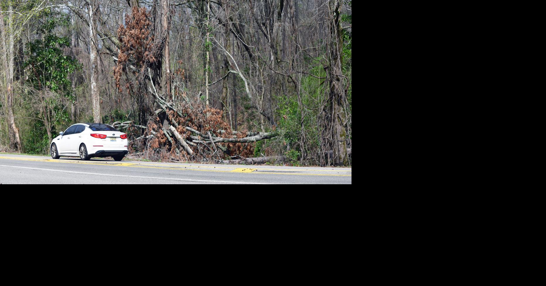 Crews to trim limbs, clear debris along Henry Road Wednesday morning ...