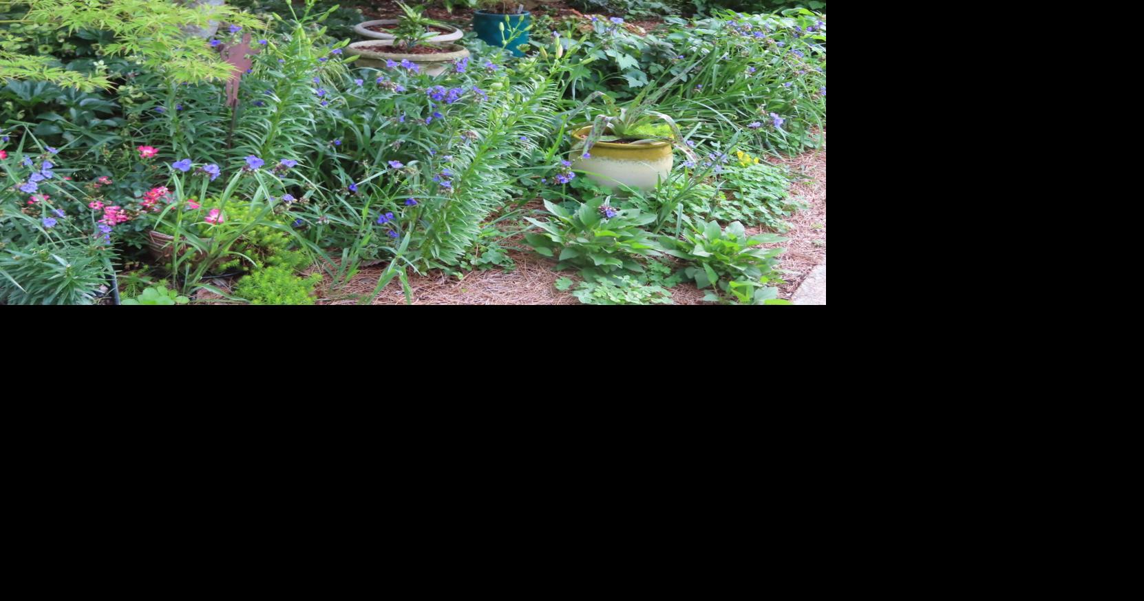 Brett Buckner: There’s no such thing as a ‘perfect garden’ | Brett ...