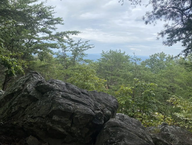 Mountain Longleaf National Wildlife Refuge protects old growth forests ...