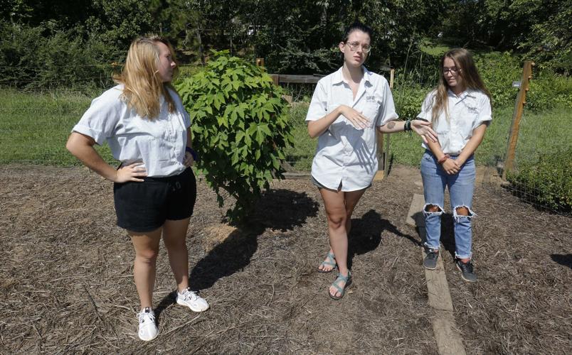 Photos: SIFAT Campus Tour | News | annistonstar.com