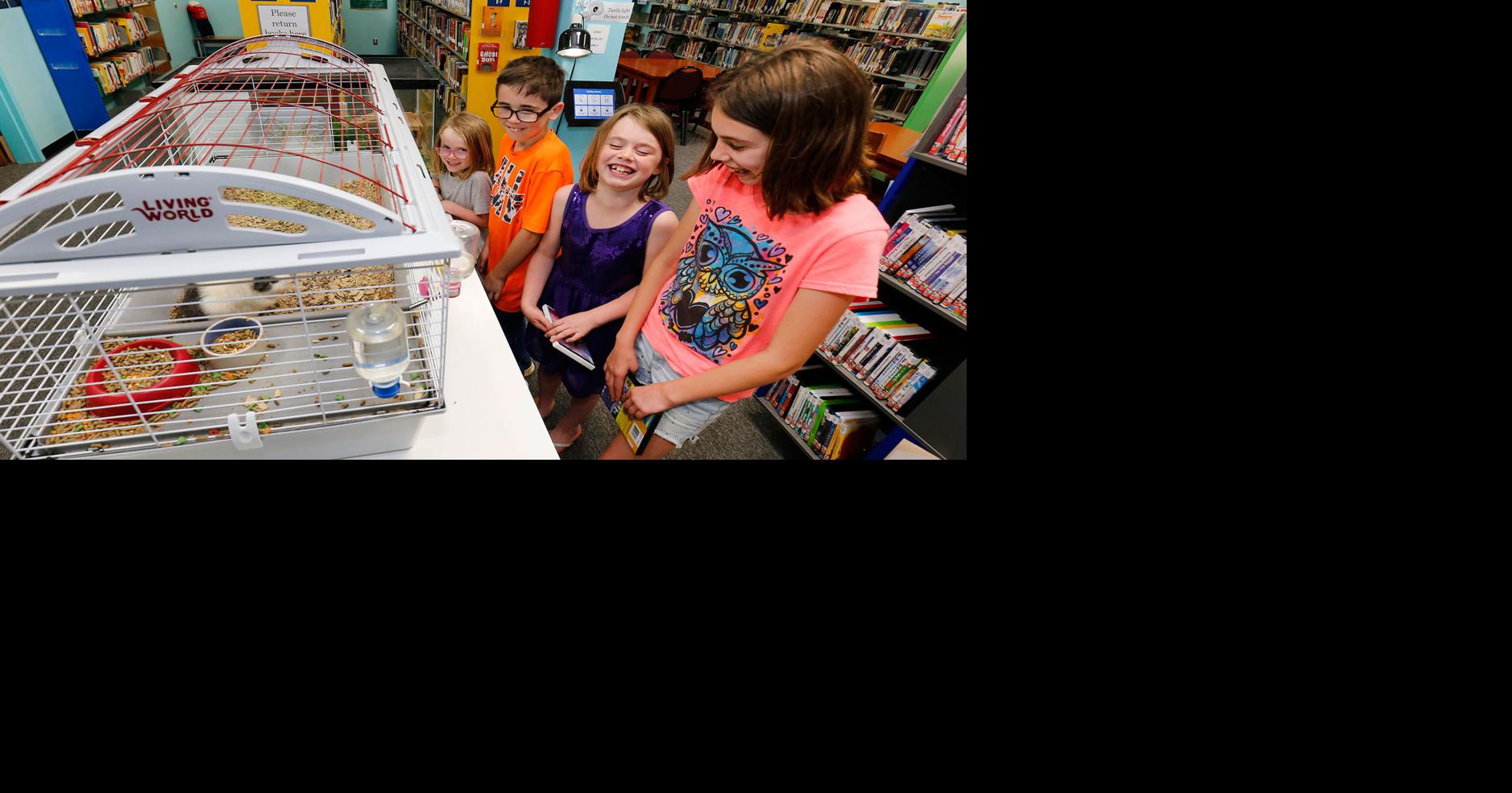 Libraries get more money in 2020 budget, still not enough to fill the ...