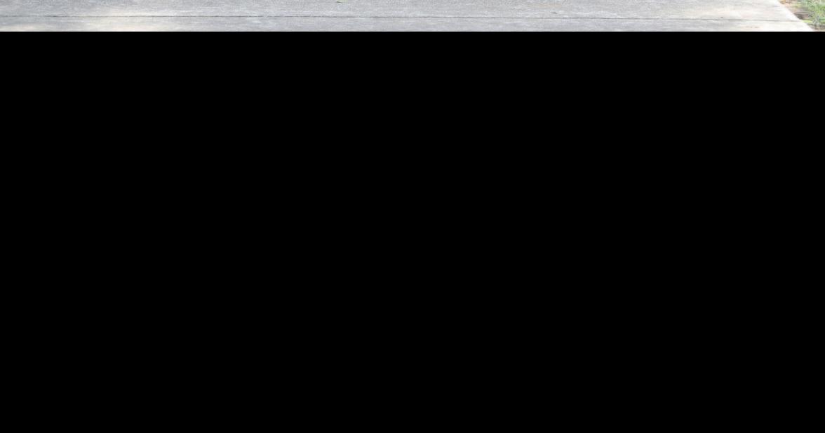 Cook, Reaves Wedding | Celebrations | annistonstar.com