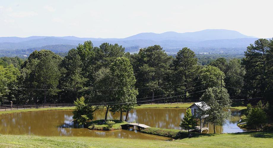 FAMILY FARM: At the mountaintop home of Ann and Clayton Angell, roots ...