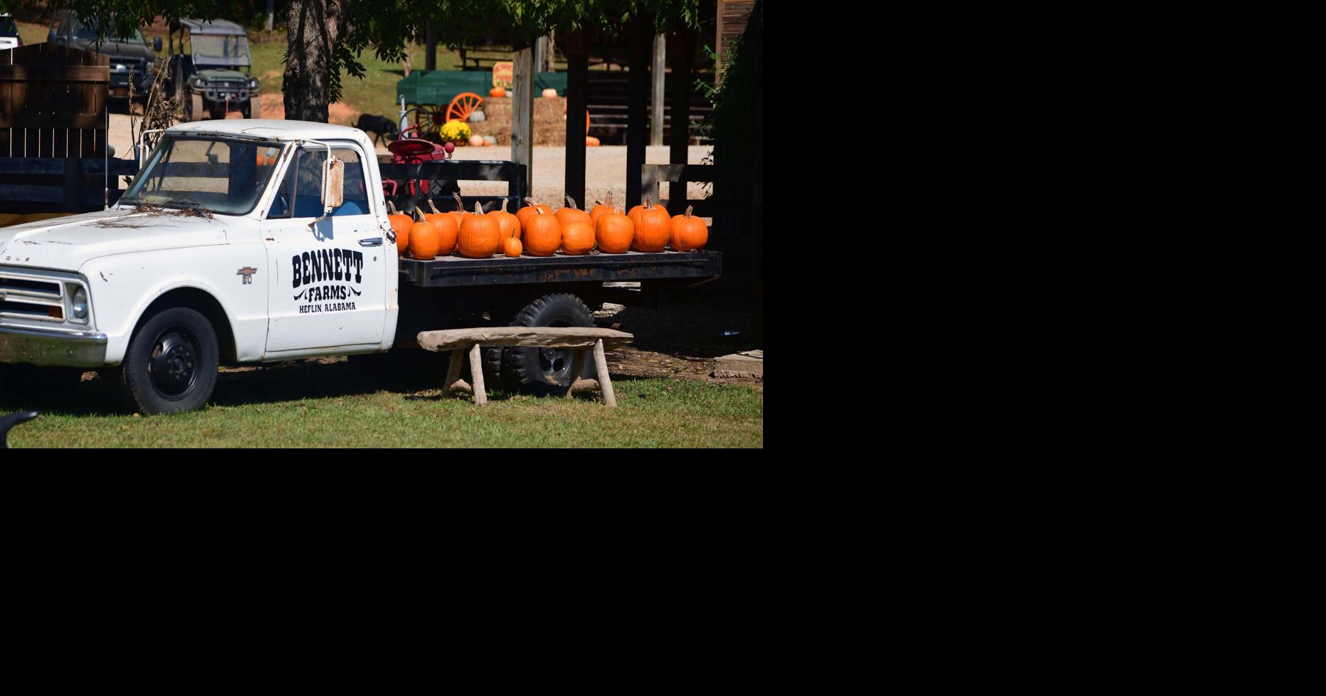Heflin’s Bennett Farms offers plenty of attractions for some autumn fun ...